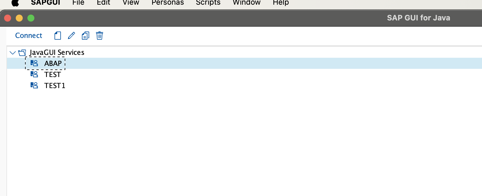 How to Setup SAP GUI in Mac Os | Binarybuggs